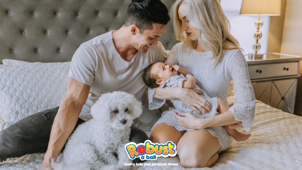 7 Tips for introducing your new baby to your best friend - Robust a Ball