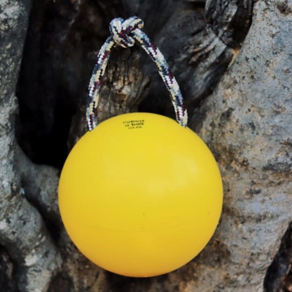 Uno Robust a Ball Made For Destroyer Dogs | Robust a Ball